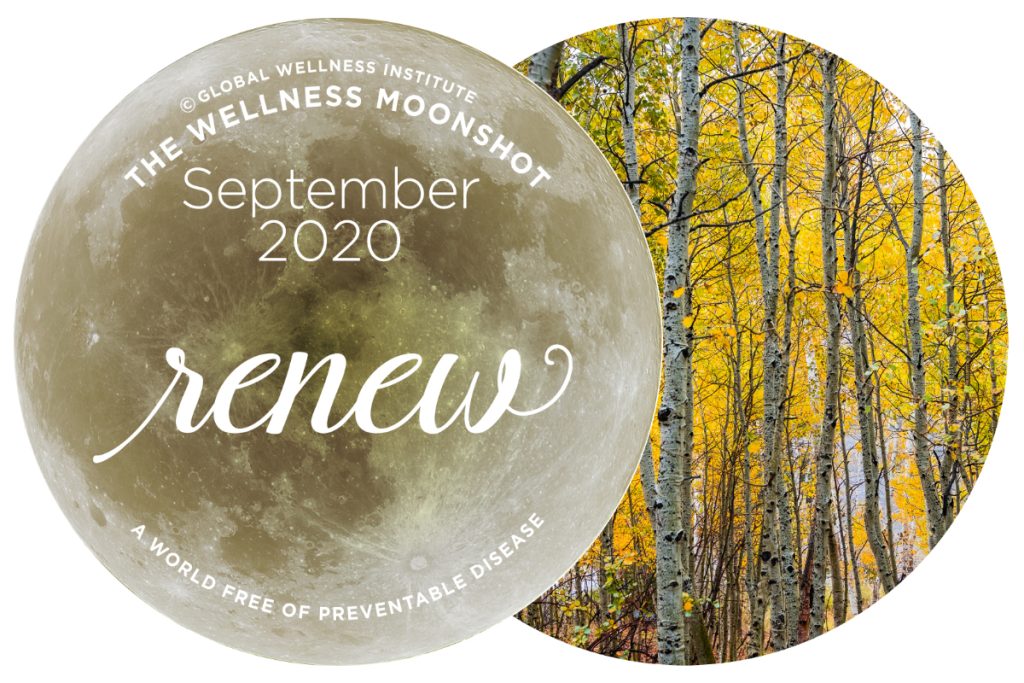 2020 Calendar Archives - Global Wellness Institute