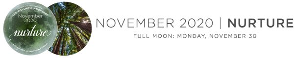 November 2020 | Nurture