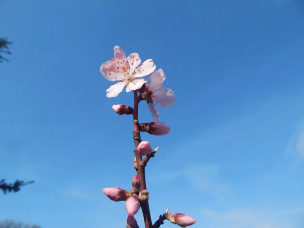 March | Stretch - Global Wellness Institute