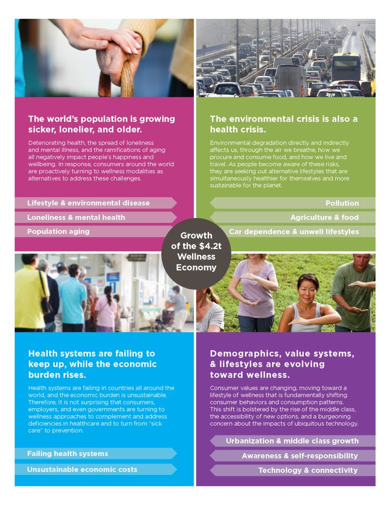 Key Drivers of Wellness - Global Wellness Institute