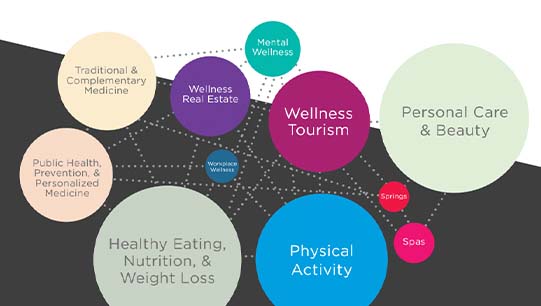 Wellness Charts & Graphs - Global Wellness Institute